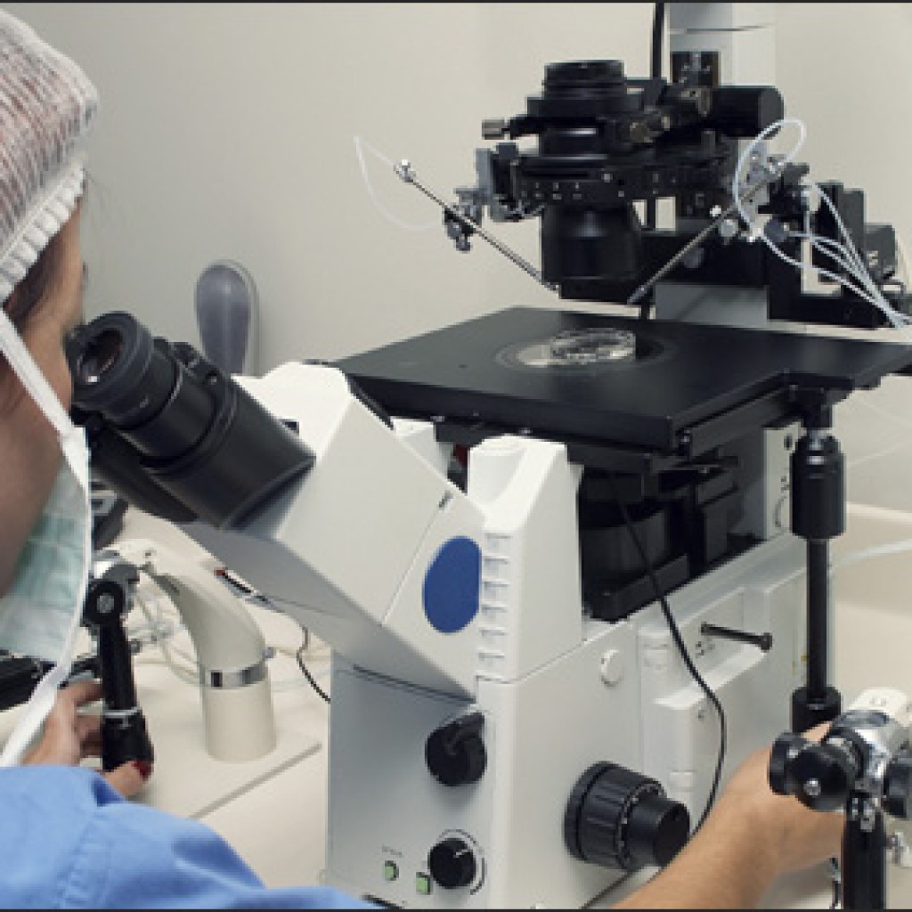 Lab Analysis - Gauntlet Background Investigations